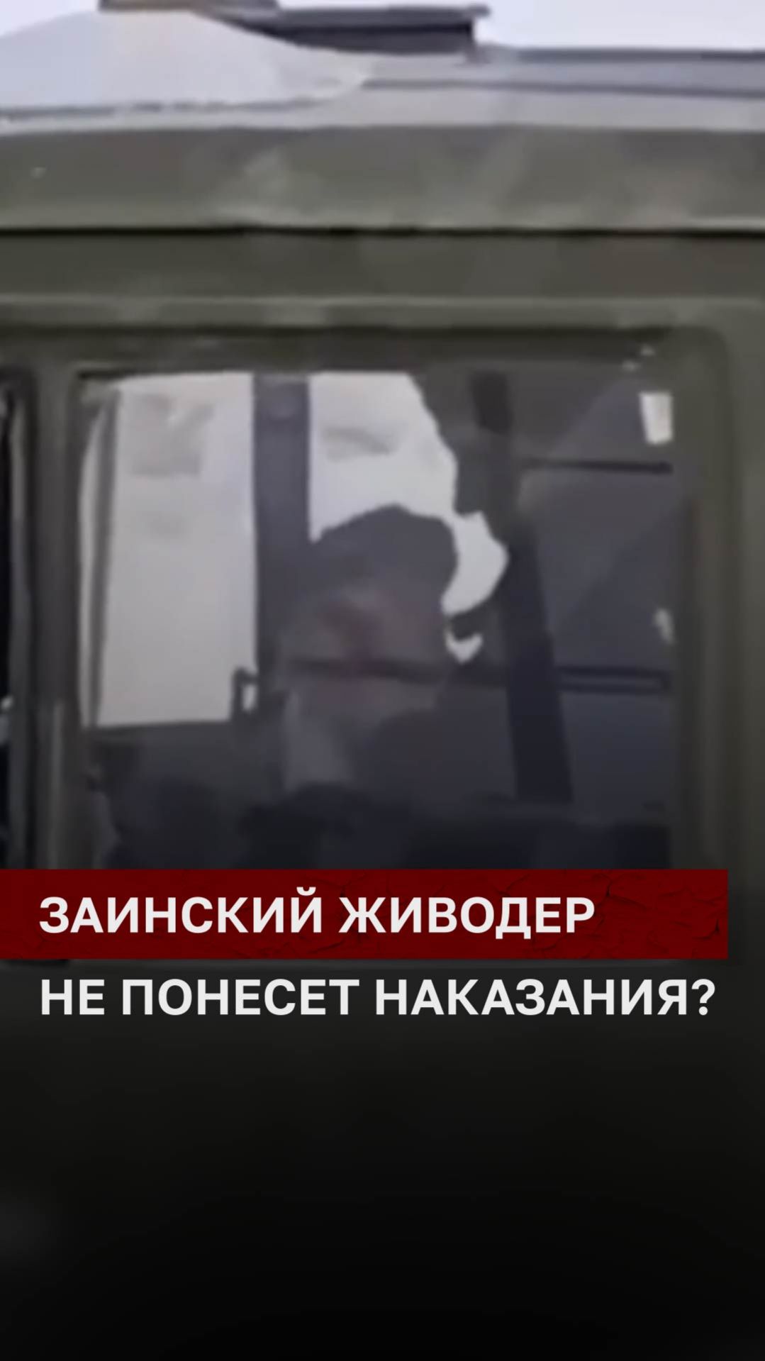 Заинский живодер не понесет наказания?