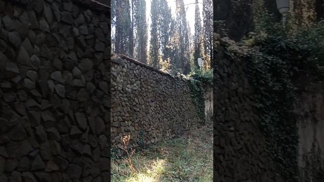 ПОСЛЕДНИЙ СЕЗОН. Алушта...