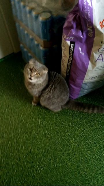 У меня такие запасливые хозяева