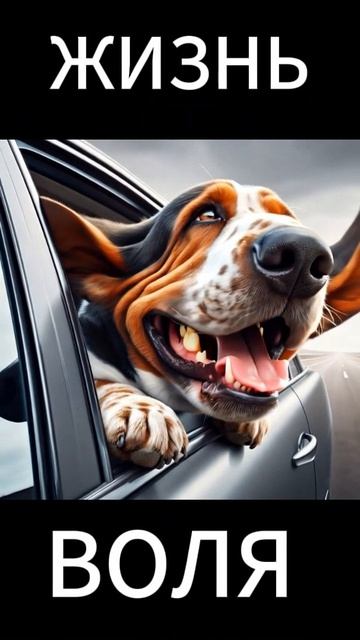 приложение для водителей #водитель #такси #работа #Москва #подработка #приложение