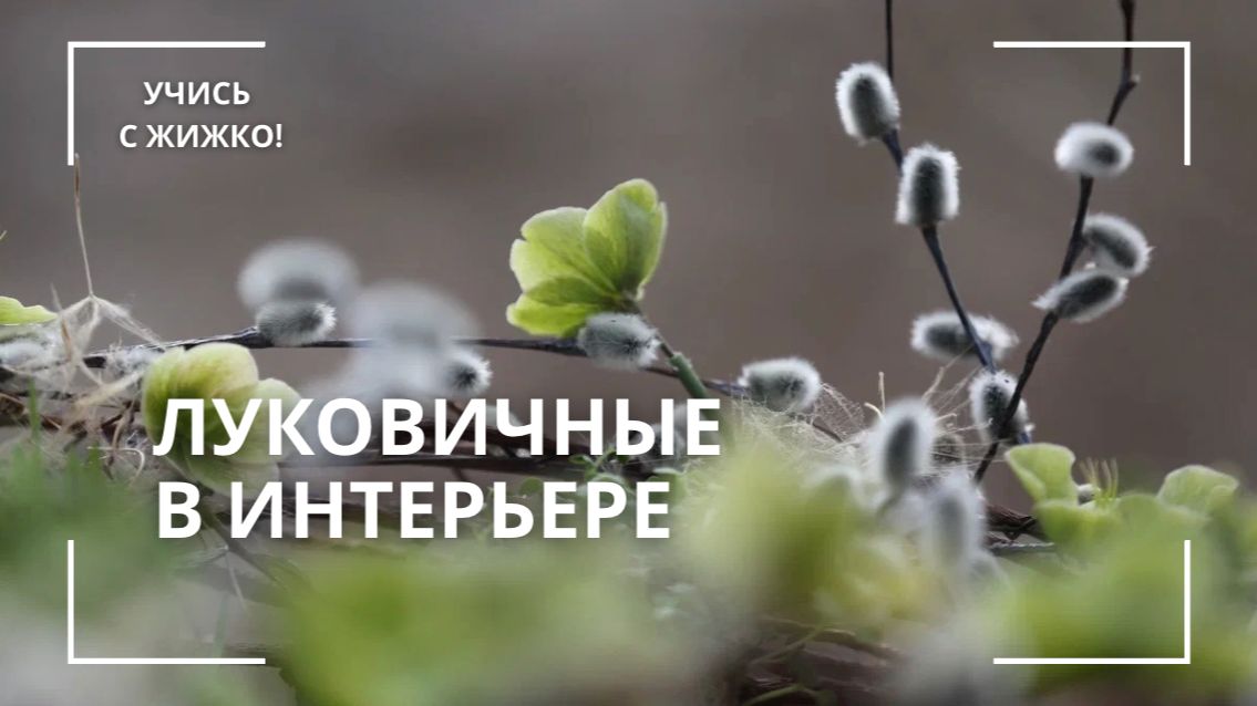 Урок: Композиция "Луковичные в интерьере"