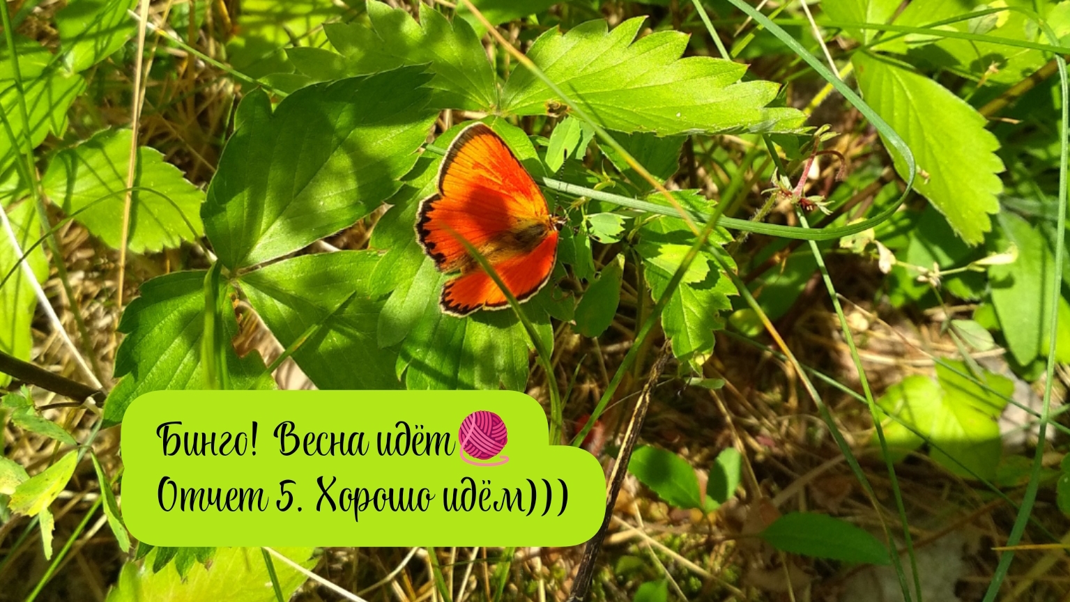 Вязальная активность "Бинго! Весна идёт" Отчет 5. Постепенно завершаю процессы🧶