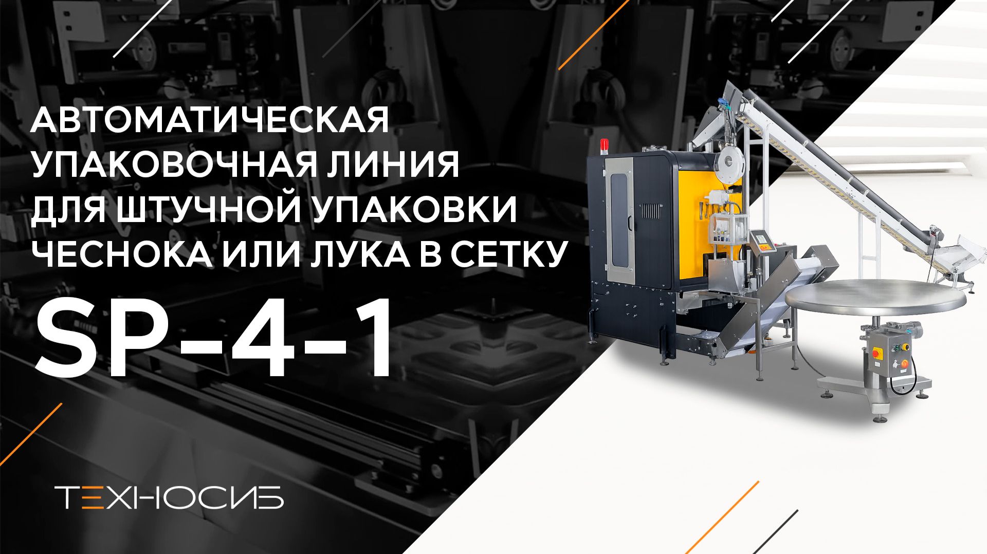 Автоматическая упаковочная линия для штучной упаковки чеснока или лука в сетку SP-4-1