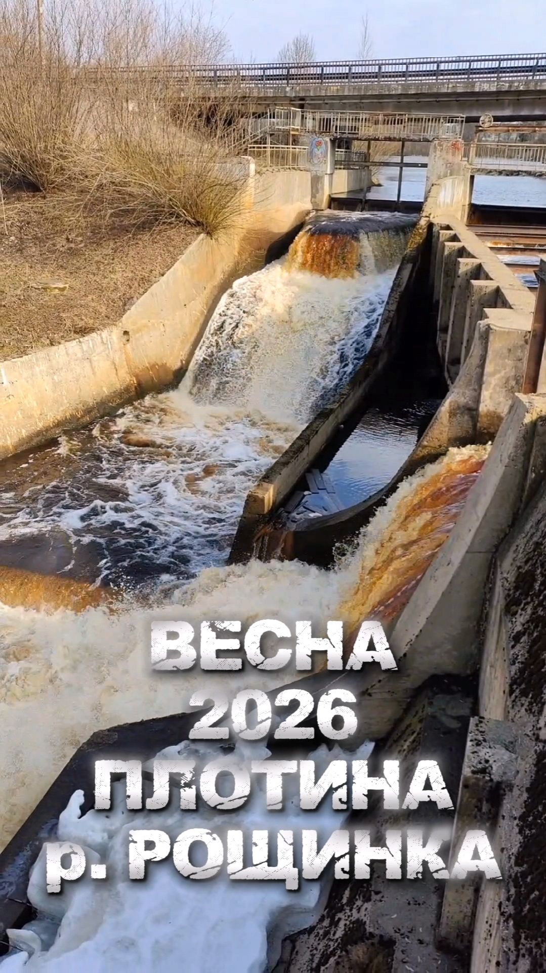 Весна 2026. Плотина, река Рощинка.