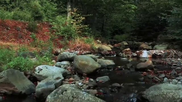 4K Погружение в Природу: Гармония Гор, Рек и Живой Энергии Земли 🌿✨ (Успокаивающее Видео)