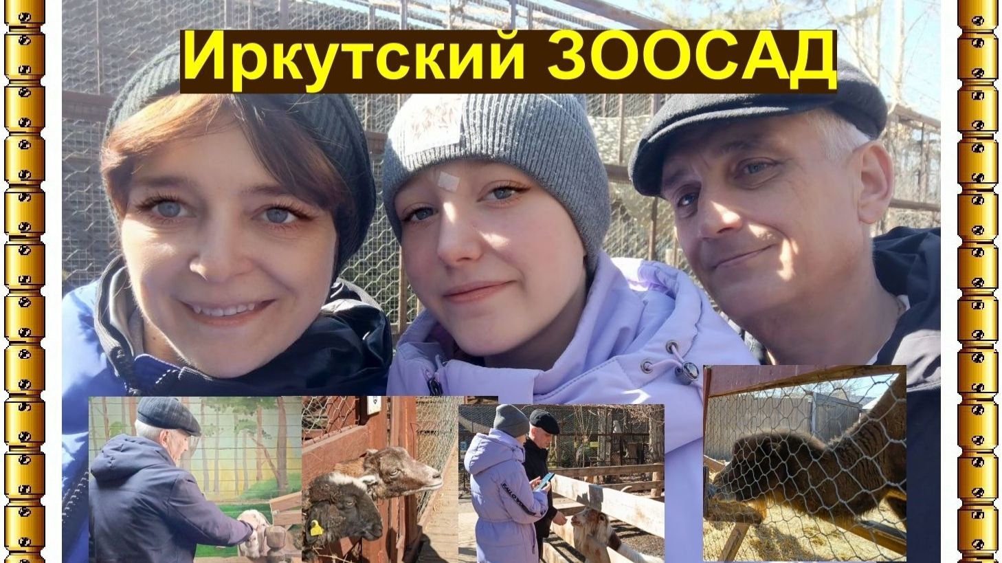 Иркутский зоосад. Поглядели на животных, часть из них покормили, часть- погладили)