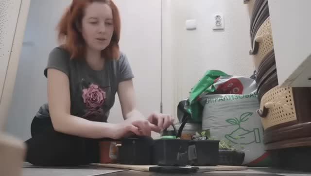 Выходные с рассадой 11 - 12 марта 2025 Начала прописывать цели