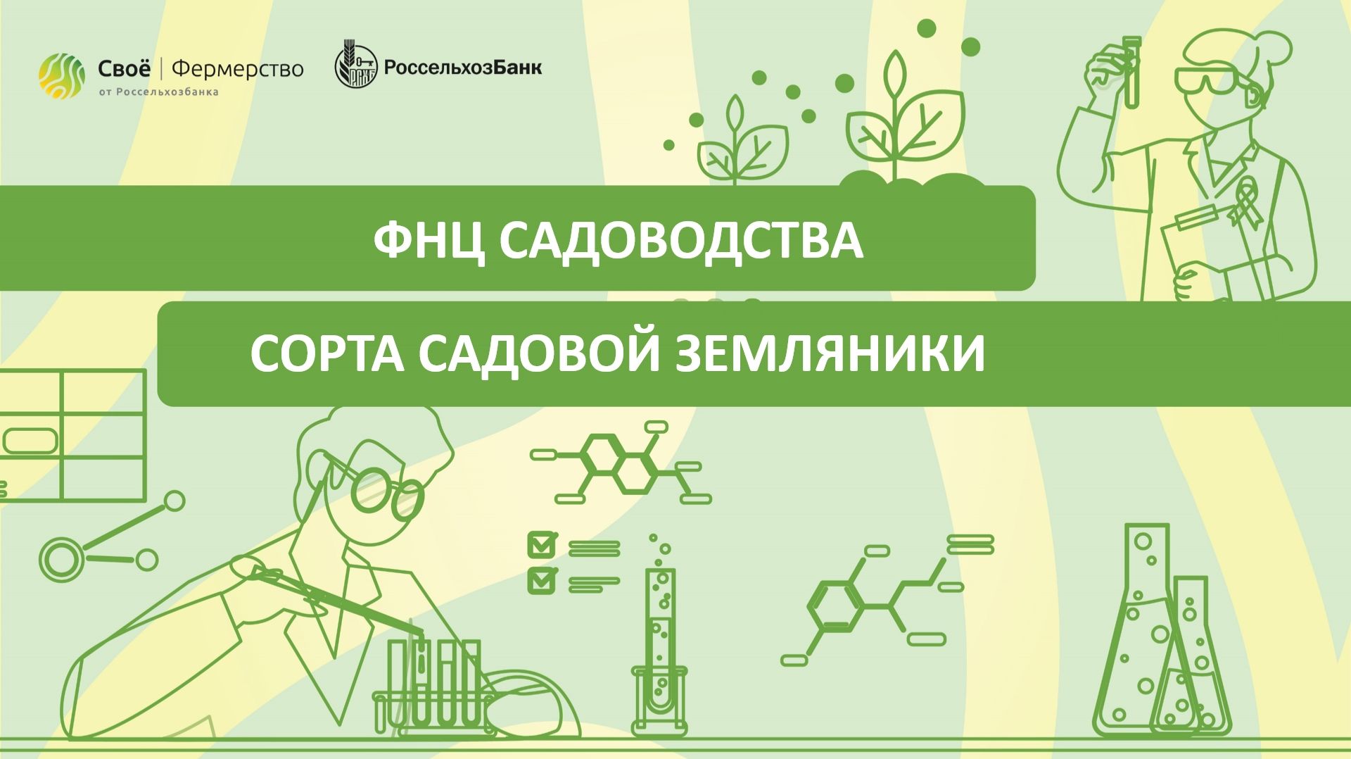 ФНЦ Садоводства: сорта садовой земляники
