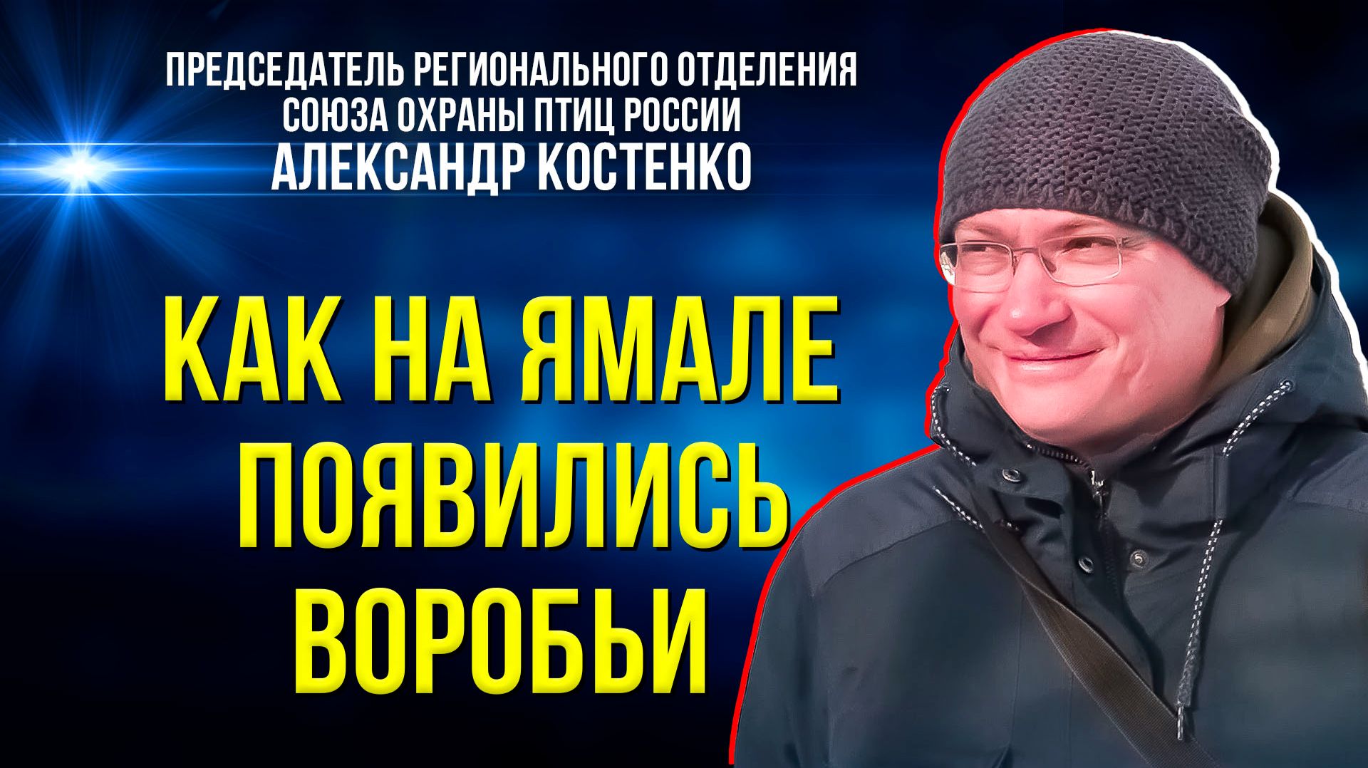 Правила проведения Всероссийской переписи воробьёв и интересные факты об этих птицах