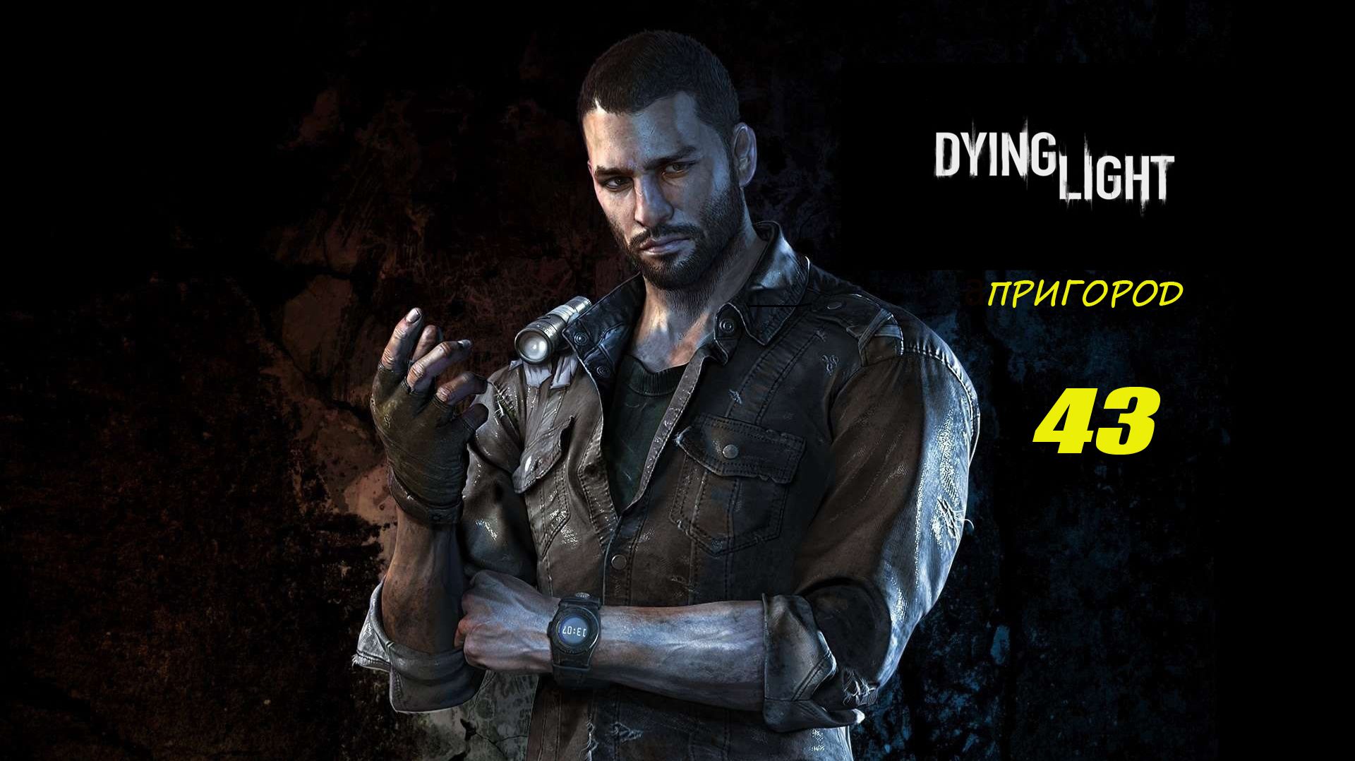 Dying Light #43 (без комментариев)