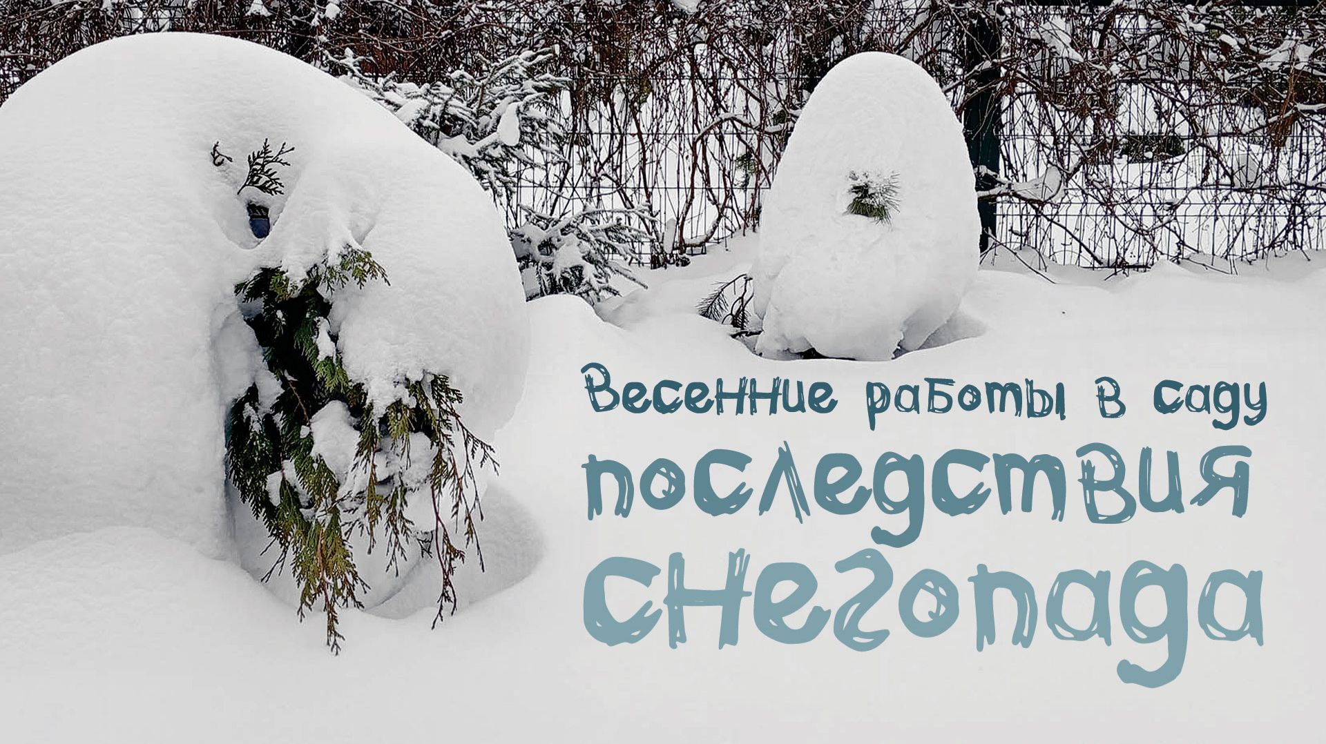Весенние работы в саду. Последствия снегопада.