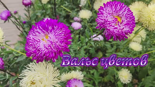 Вальс цветов