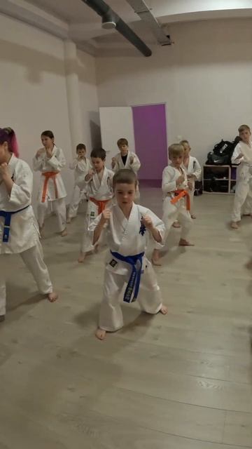 Киокушинкай карате Гермасойя Кипр