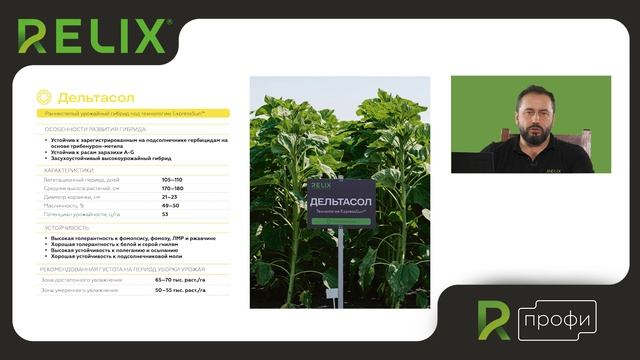 RELIX_Линейка подсолнечника_сев 2026