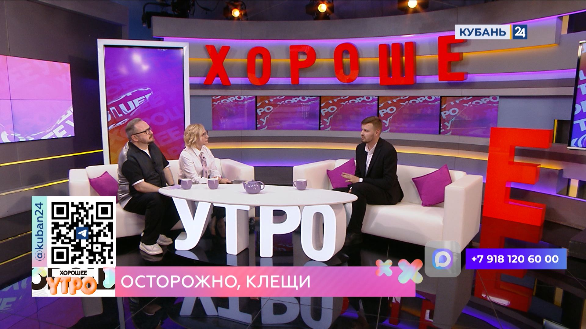 Константин Занько: активность клещей на Кубани зависит от температуры и погоды