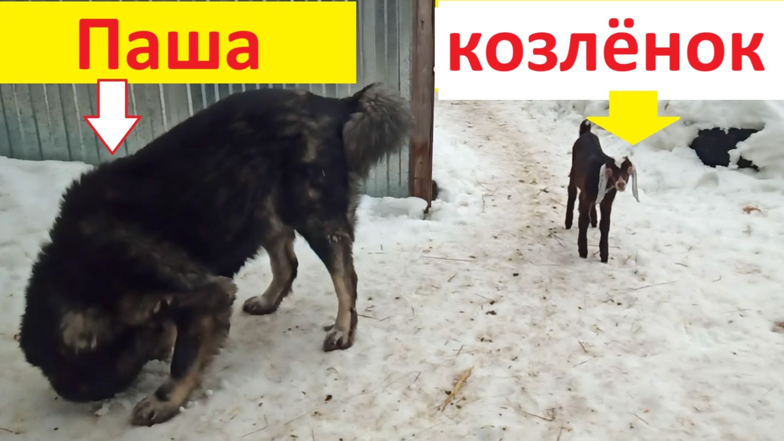 Оказывается на улице страшно!