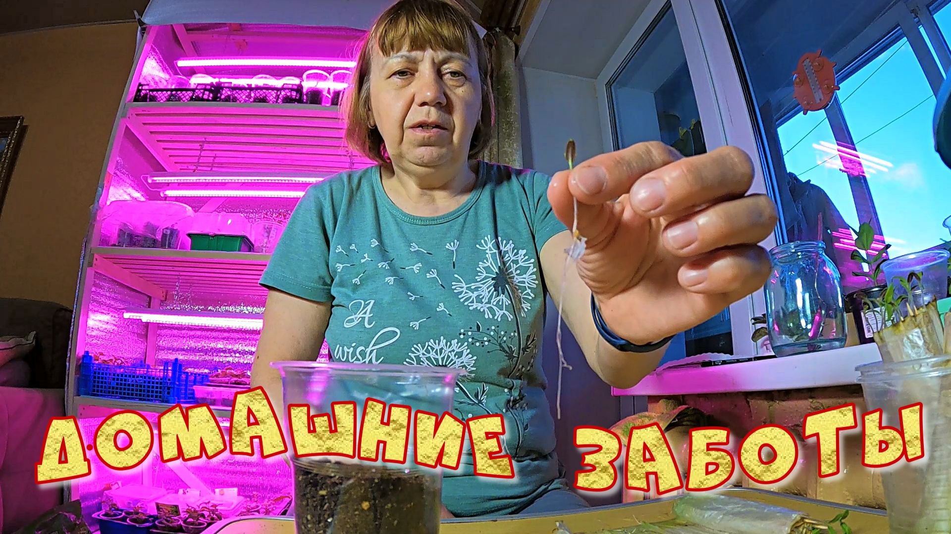 ОЛЯ И ДОМАШНИЕ ЗАБОТЫ