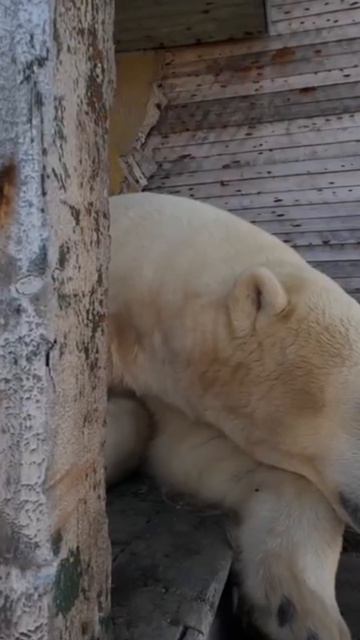 ПРИХОДИТЕ В МОЙ ДОМ...