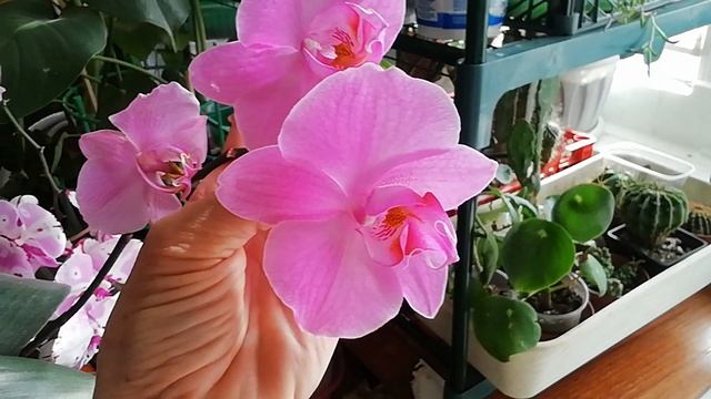 Почувствуйте разницу