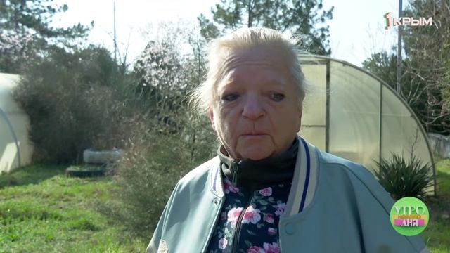 Как  вырастить дерево?