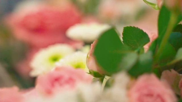 Вечер флористики и арт-терапии для финалисток конкурса СПбГУПТД «Мисс Университет»