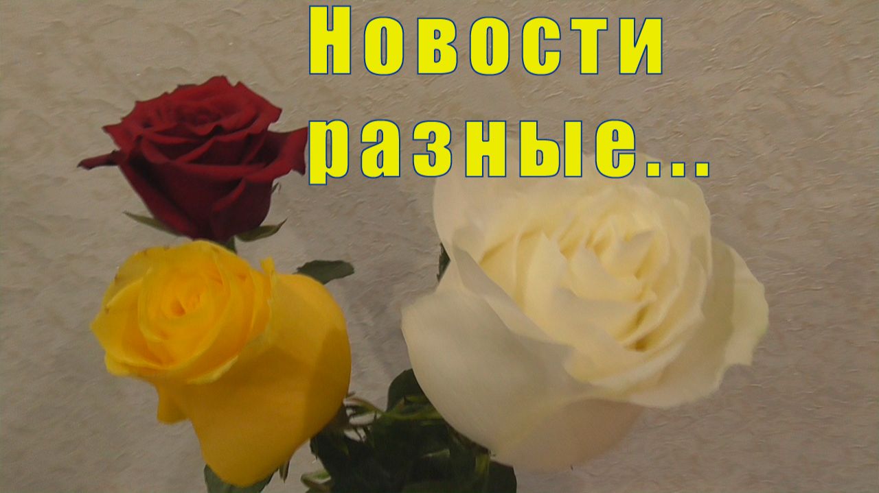 МОИ НОВОСТИ - ПЛОХИЕ И НЕ ОЧЕНЬ /КОНЦЕРТ ПРОДОЛЖАЕТСЯ/  20 /21/ 22 /23 марта 2026