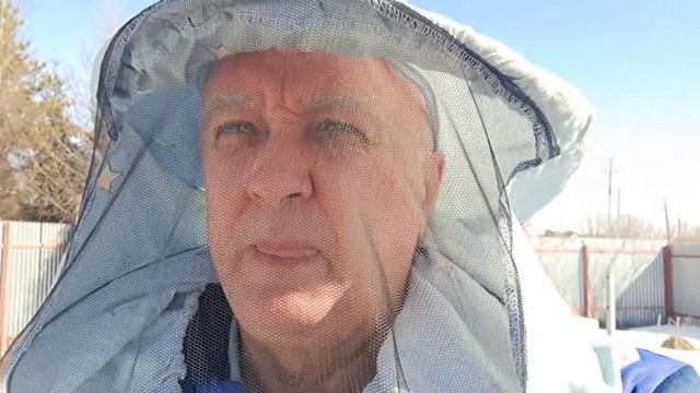 Факторы успешной зимовки пчёл на моей пасеке