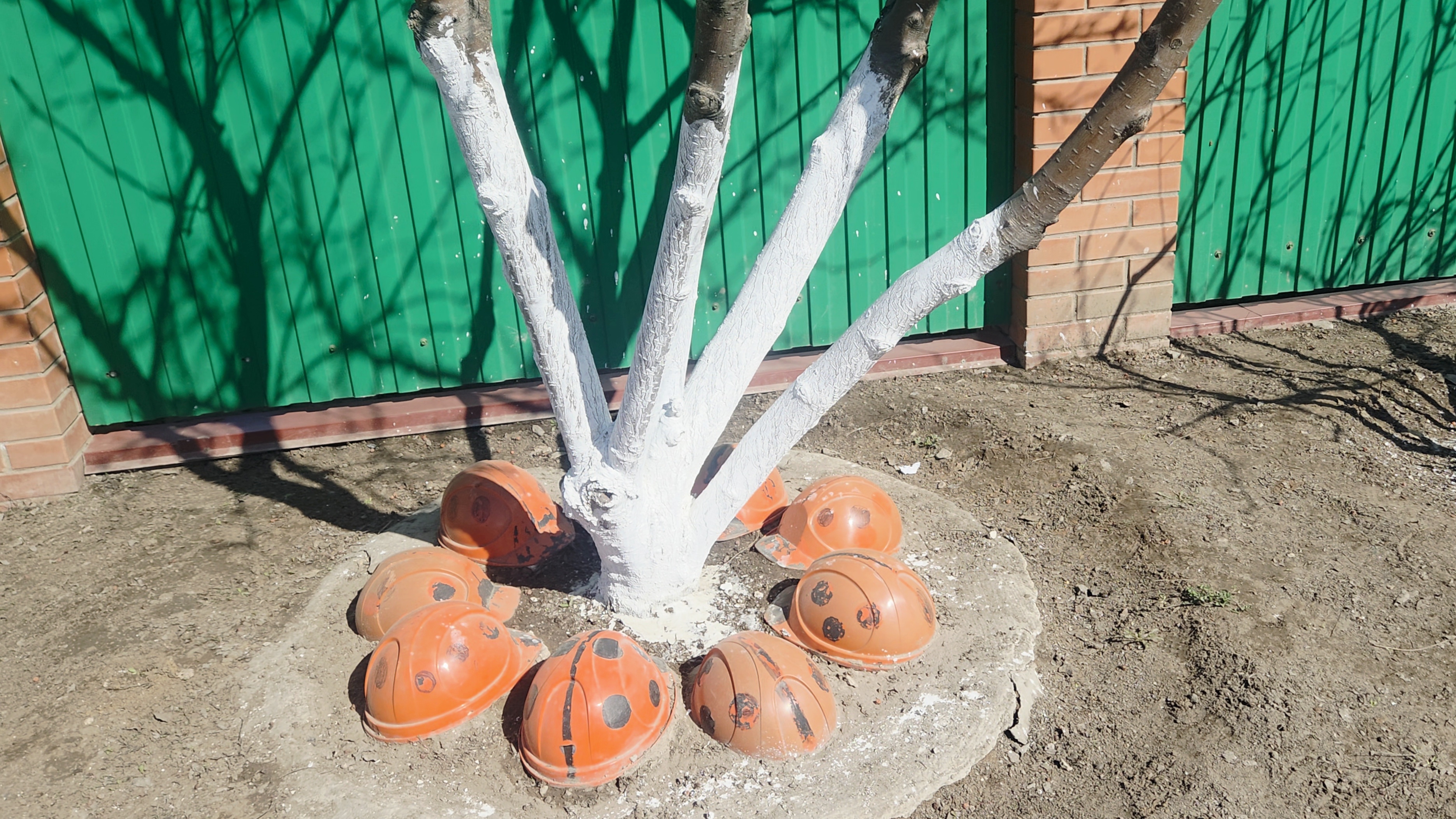 Мелочи нашего дома🗝🪴 Покупки и онигири🌮