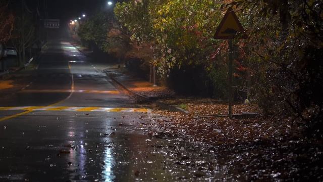 Шёпот дождя на дороге || звуки дождя для фона