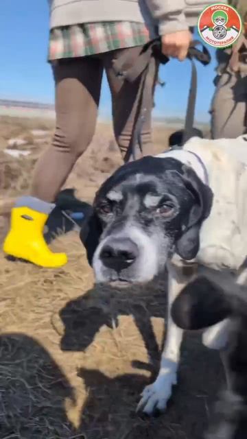 Байкеры съездили к животным