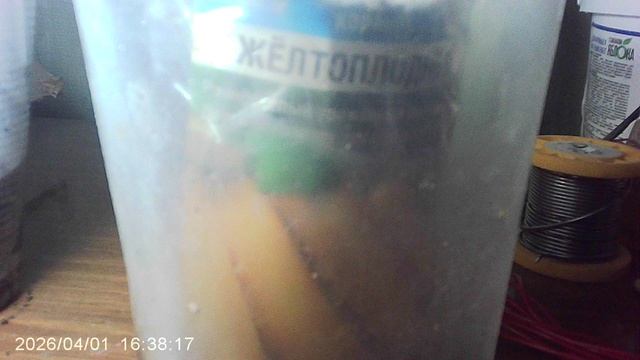 Обзор кабачкового посева рассады сорта "Желтоплодный" (посев от 31 марта)