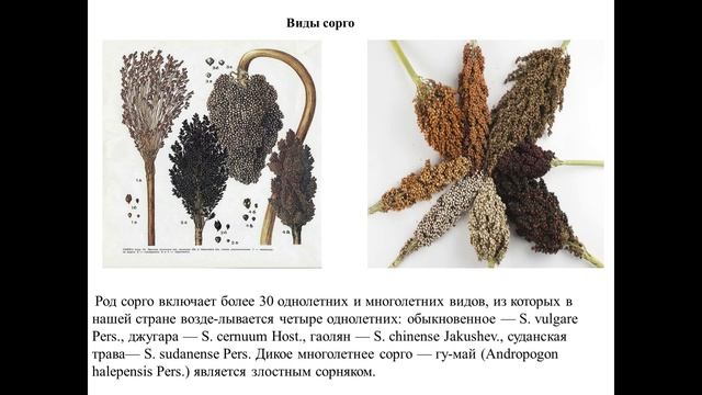 Комплектование МТА - 4.03. 231 группа
