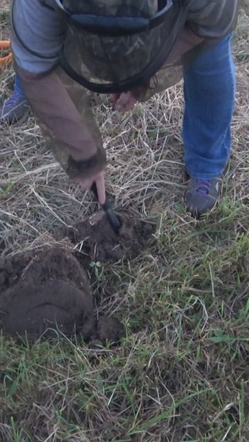 Туман пропал #shorts #загадкаприроды #туман #копмонет #другаяжизнь