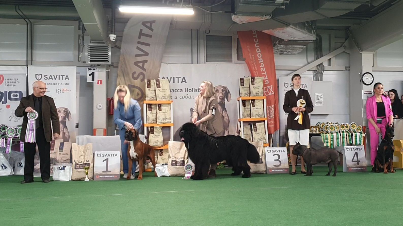 14.03.2026, СПб. Клуб КСС ДОСААФ (РКФ, РФСС). Выставка собак САС 2 группы FCI