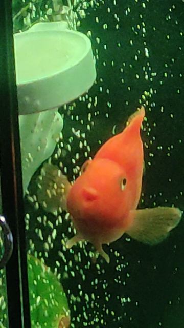 Маня  позирует