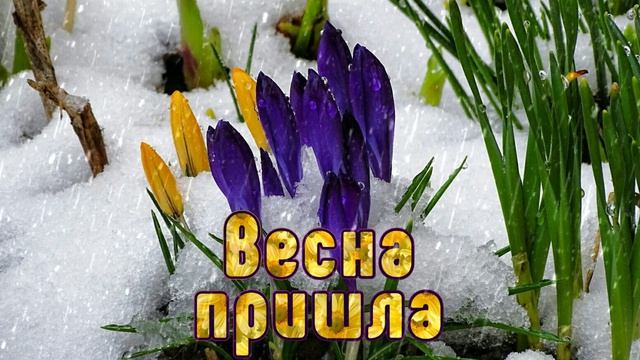Футаж. Весна пришла 23