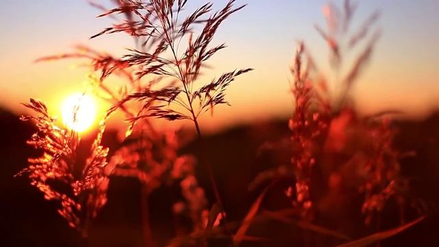 Лучик солнца./21.05.2021г.