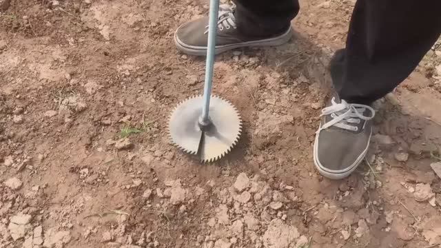 Самодельный бур для посадки растений из диска от циркулярки