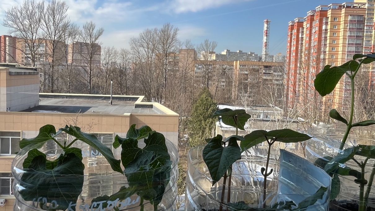 Вы знаете что мы братья и сестры, не одели портки, час общения, перевалка фасоли, вкусный обед