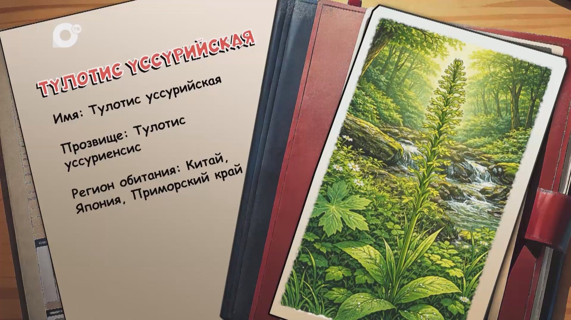 Агент биосферы / Тулотис уссурийская / 01.04.26