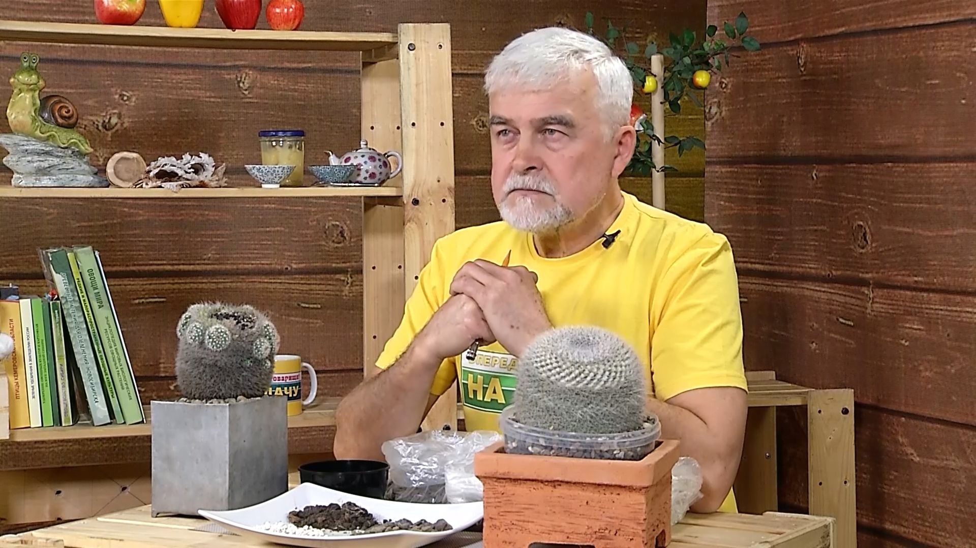 Вперёд, товарищи! На дачу! Выпуск от 31.03.26