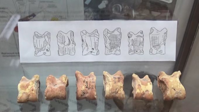 Игральные астрагалы эпохи бронзы на выставке «Мир детства»