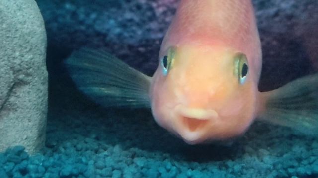 Маня отошла от шока