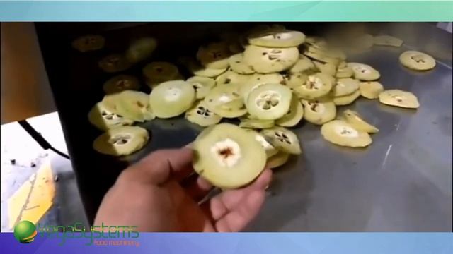 Машина для нарезки яблока, банана, тыквы и других фруктов слайсами Вега/Vega Hor Slicer H1500