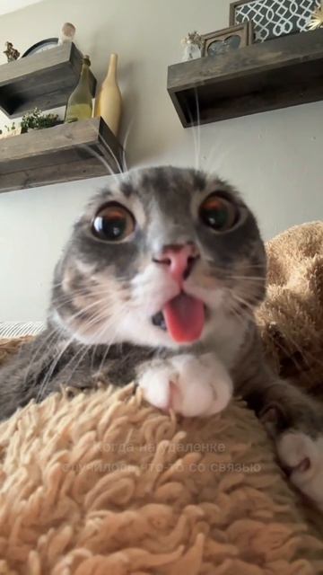 И приходится перезагружаться