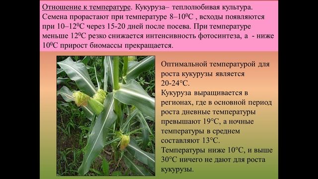 Комплектование МТА - 1.04. 231 группа