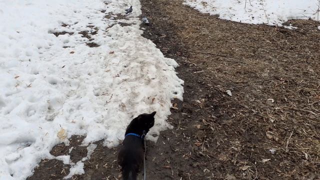 На улице хорошо.