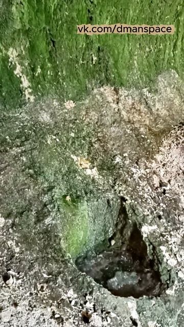 Овечий грот - места в Крыму