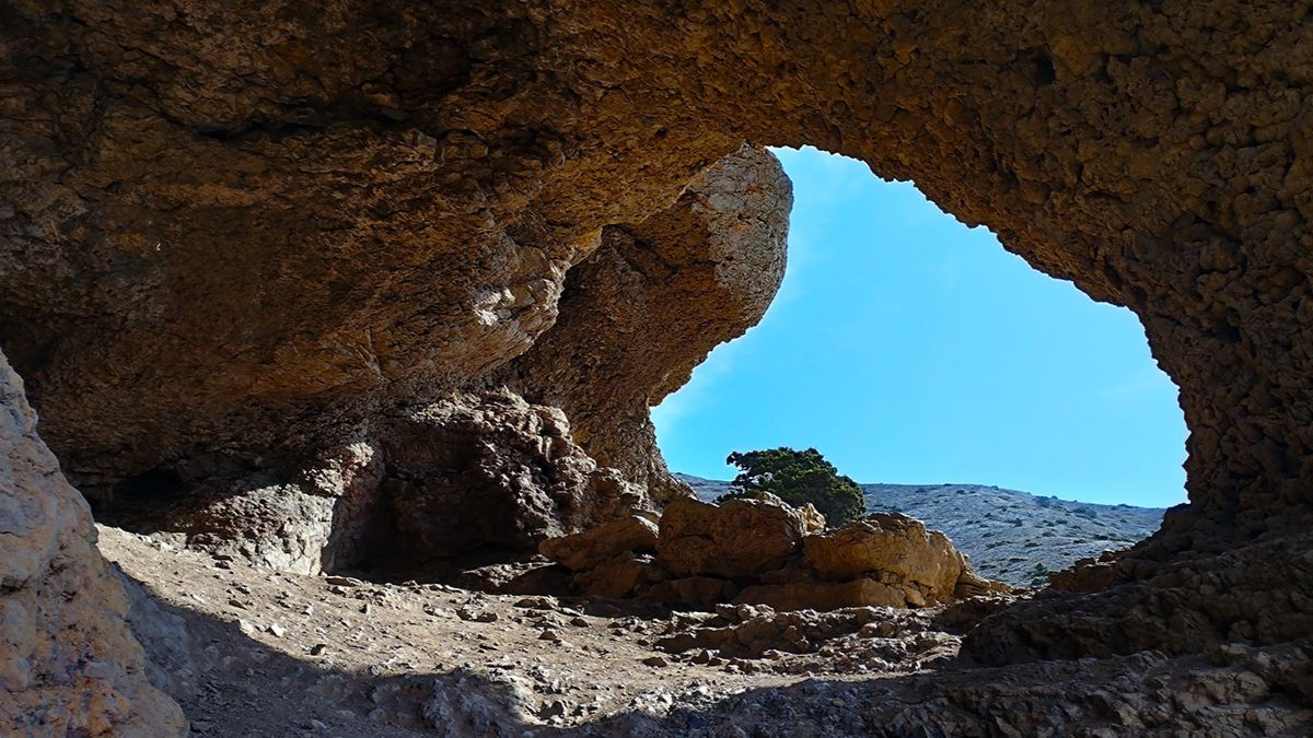 Весенний Алчак и поющий грот "Эолова арфа". Благородный лебедь в Судакской бухте.