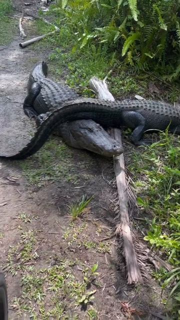 МЫ СТРАННО ВСТРЕТИЛИСЬ И СТРАННО РАЗОШЛИСЬ...